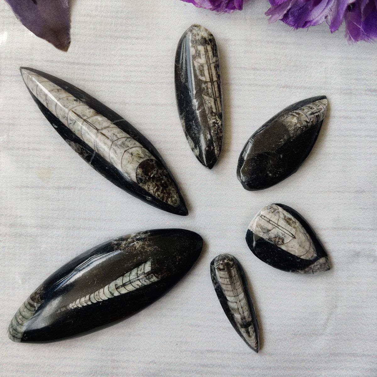 Kuber - Finance Stone | Shubhanjali | Care for Your Mind, Body & Soul!