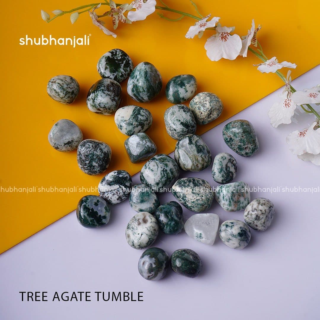 Tumble Stones | Buy Online Natural Tree Agate Crystal Tumble Stone - Shubhanjali