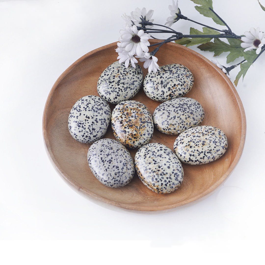 Dalmation Jasper Crystal Palm Stone For Positivity, Depression ...